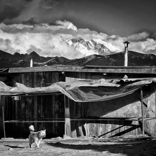 Leon Wong个人作品集 | LEON WONG Studio