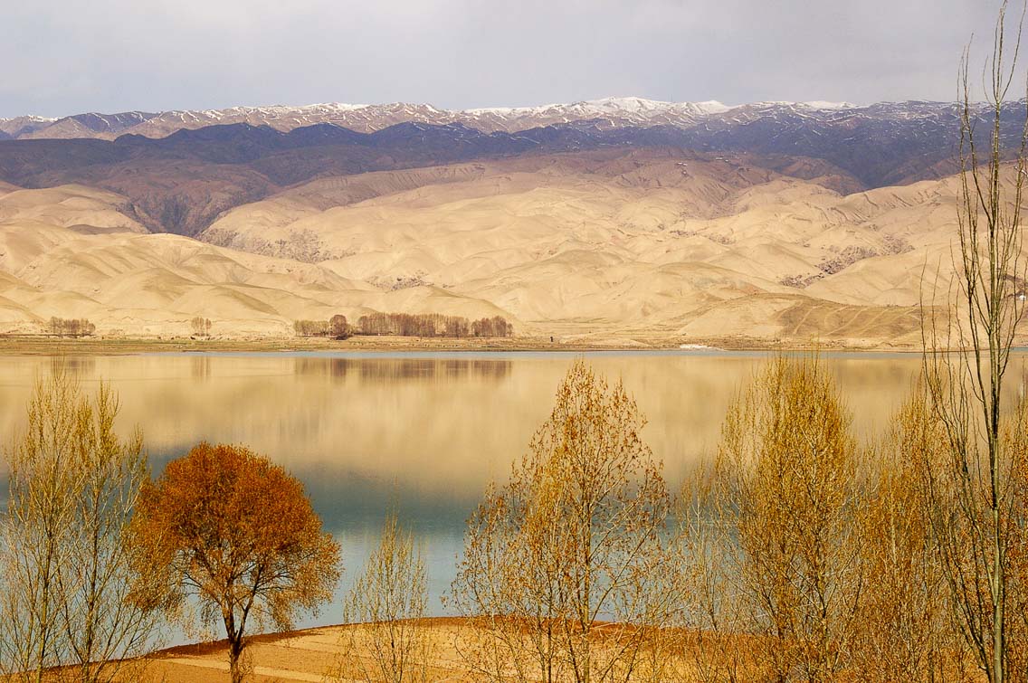 Leon Wong个人作品集 | LEON WONG Studio